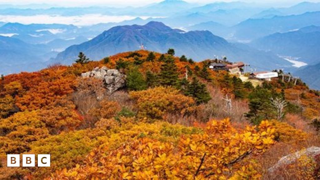 The beauty of autumn - BBC Weather