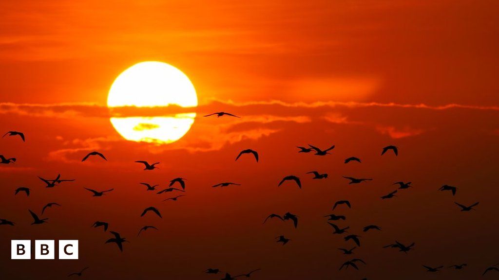 What is it the ozone layer, why was it damaged, and what's been done ...