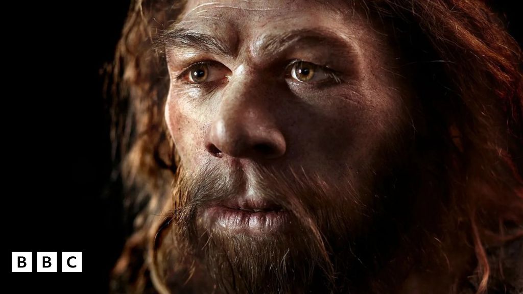 Neanderthals made a type of glue to use on their tools - BBC Newsround
