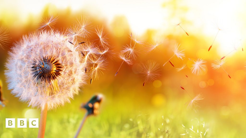 Spring equinox 2023: What is it and why are there different dates for ...