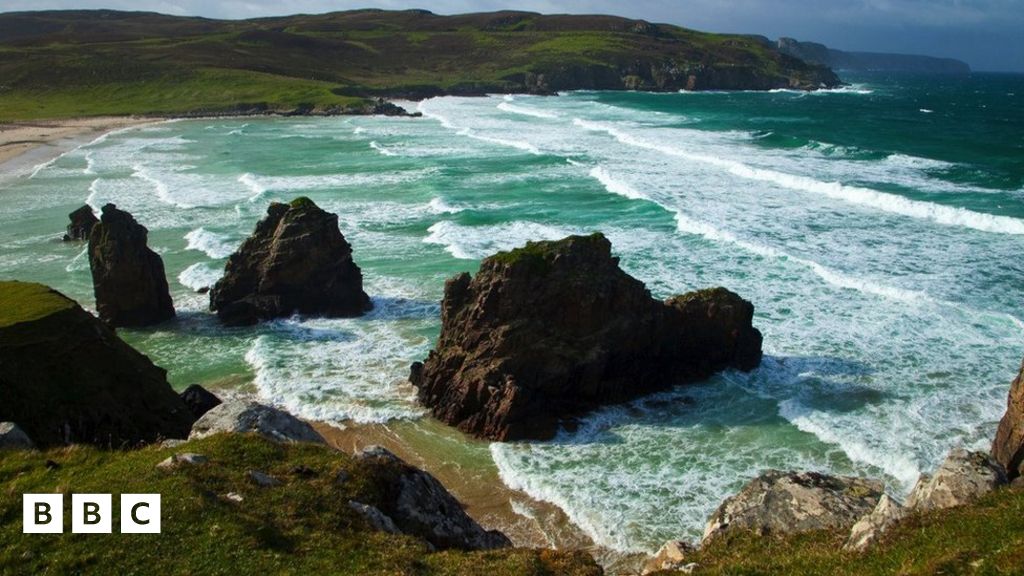 Restore health of seas to help UK economy, urges WWF report - BBC Newsround