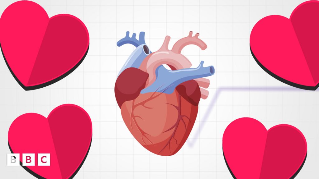 50 years on: UK's first heart transplant remembered - BBC Newsround