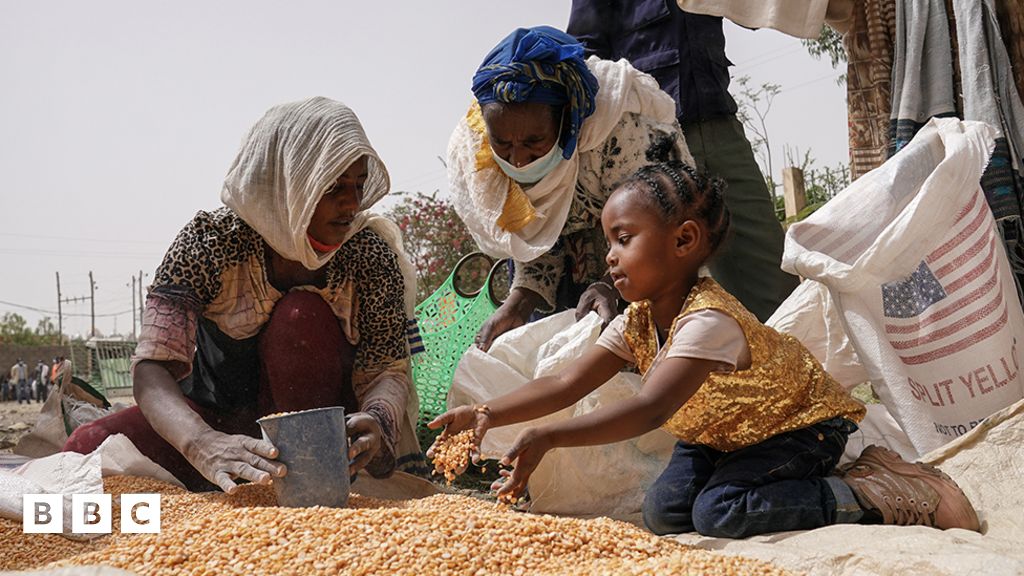 Famine: What does famine mean and how do countries help to deal with it ...