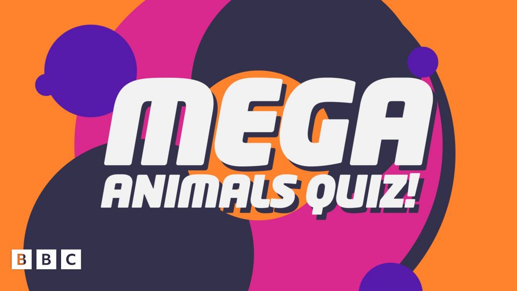 Try our Mega Animals Quiz - BBC Newsround