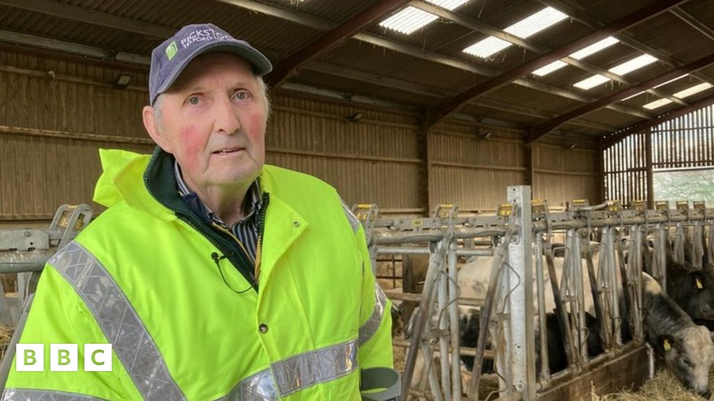 Gwerthu gwartheg er budd elusen wedi marwolaeth gwraig - BBC Cymru Fyw