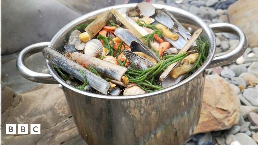 Fforio am fwyd am ddim ar draethau Cymru - BBC Cymru Fyw