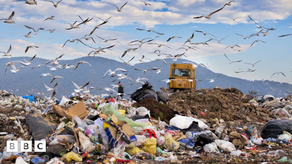 Zero Waste Week: What is it and how can I get involved? - BBC Newsround