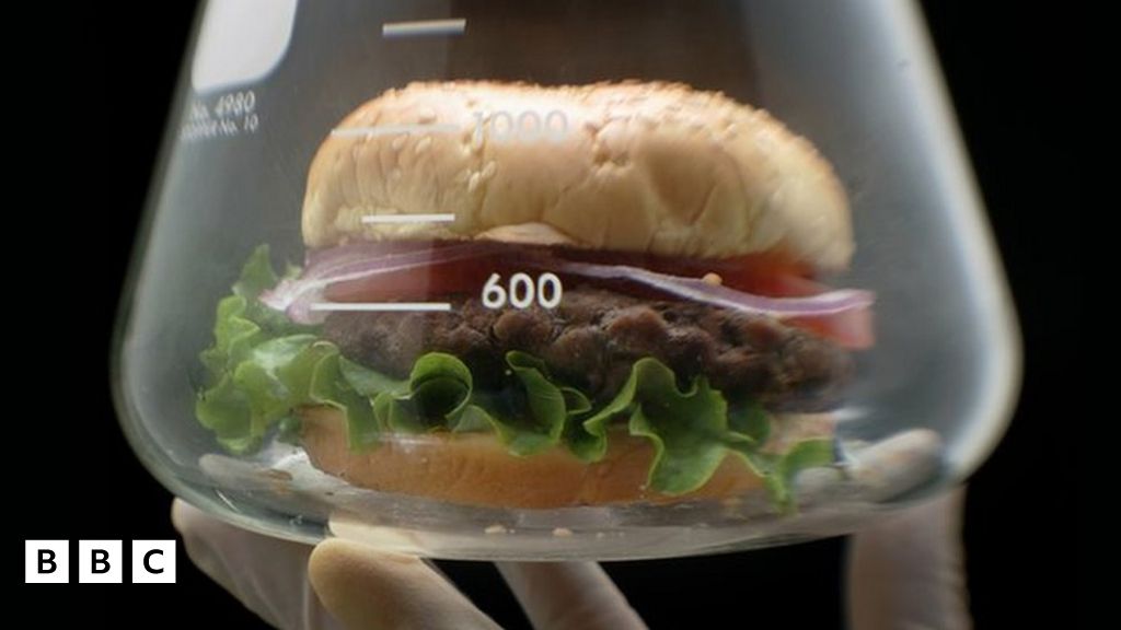 Could lab-grown meat be the future of food? - BBC Newsround
