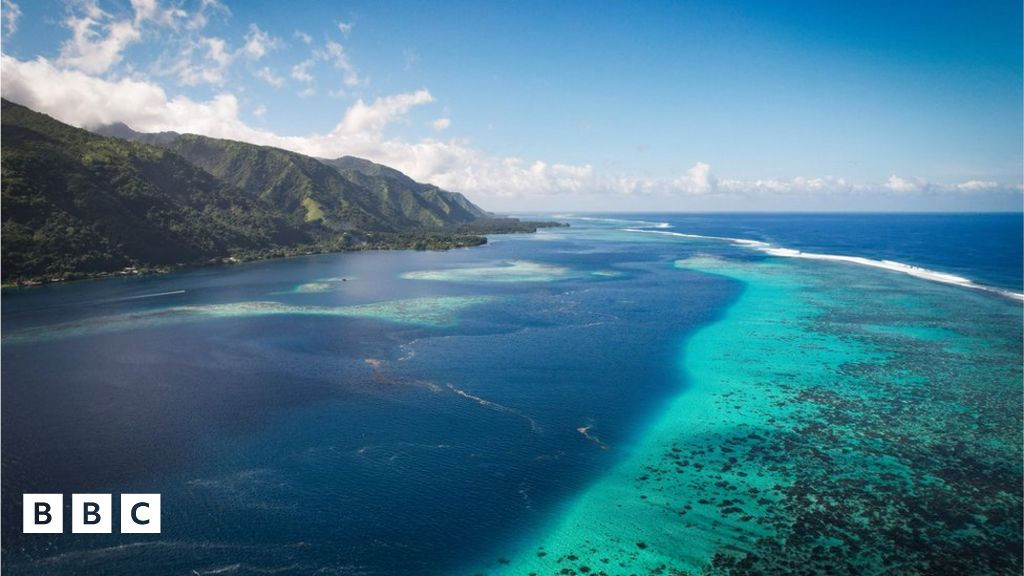 Paris 2024: Olympic surfing event could damage coral reef, say ...