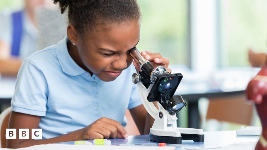 Children reveal their dream jobs for when they grow up - BBC Newsround