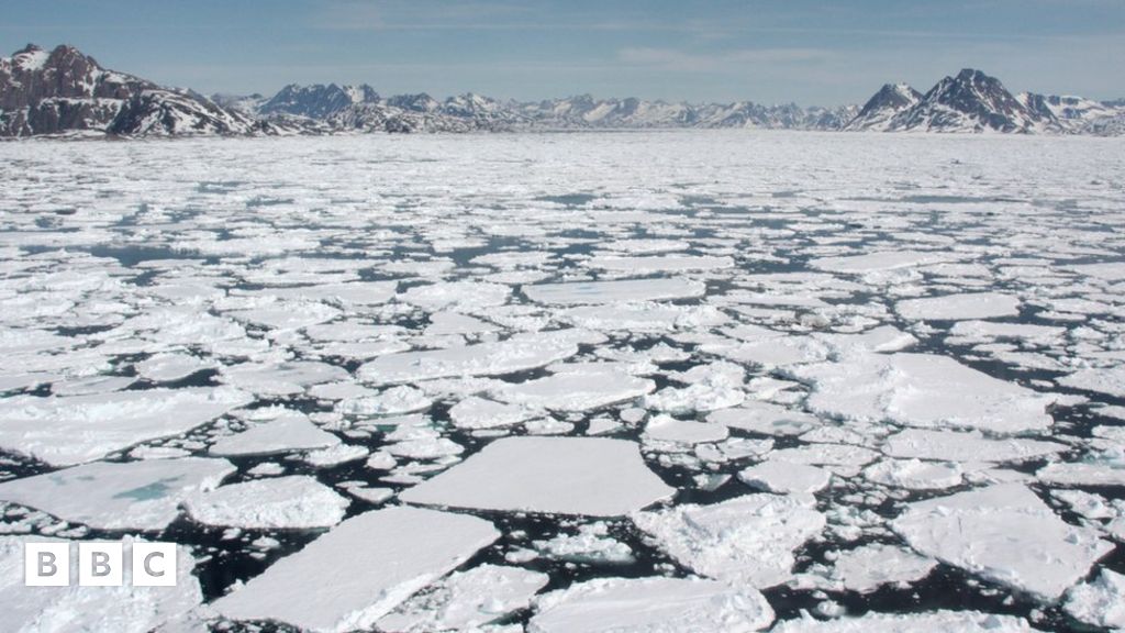 Sea ice: Why is it so important? - BBC Newsround