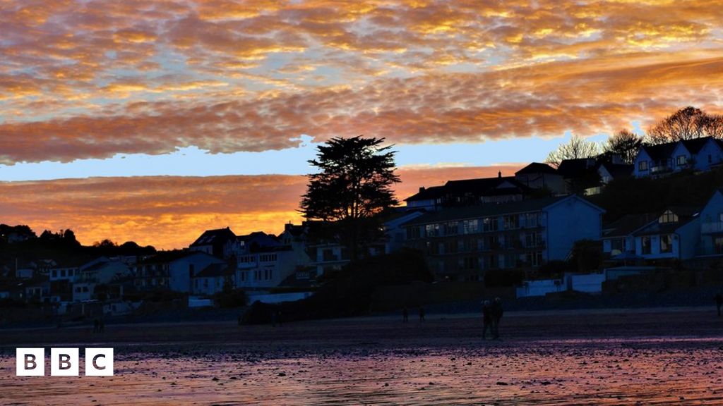 Ymgyrch i achub coeden 'eiconig' rhag cael ei thorri - BBC Cymru Fyw