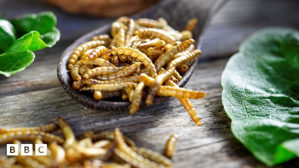 Would you spice up your food with mealworms? - BBC Newsround