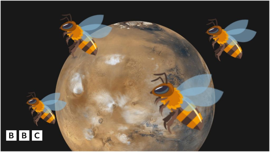 Swarm of robot bees to explore Mars - BBC Newsround