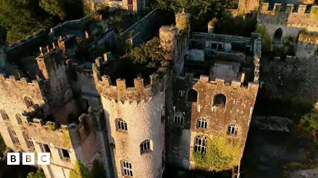 Cyfres 'I'm A Celebrity...' ITV yn dod i Abergele - BBC Cymru Fyw