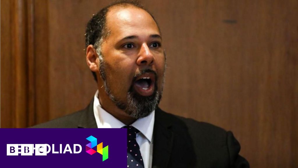 Etholiad cyffredinol: Pwy yw'r Blaid Treftadaeth? - BBC Cymru Fyw