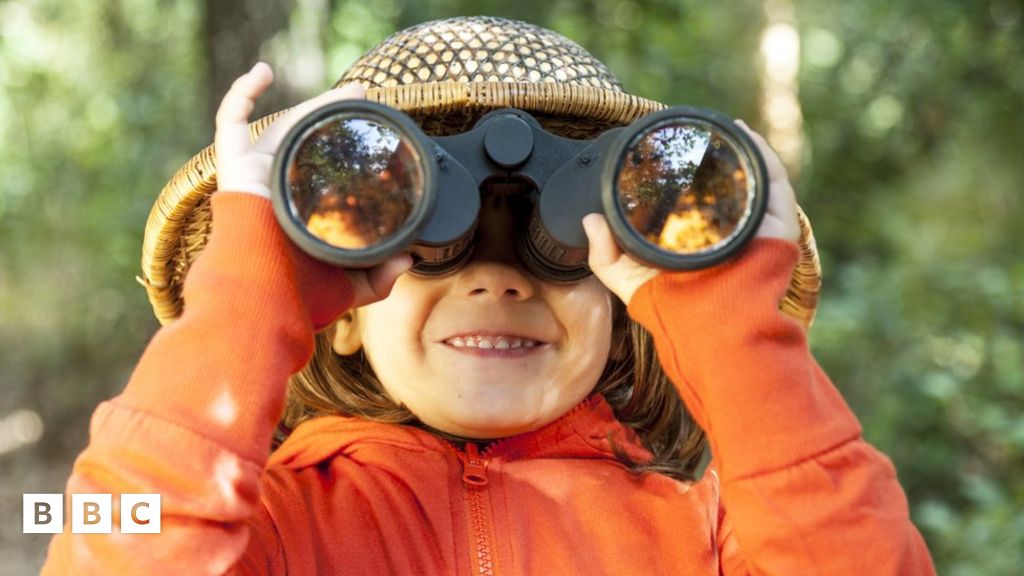 Tell us your most amazing wildlife spotting moment - BBC Newsround
