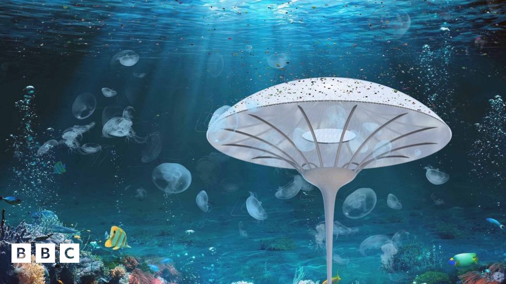 Marine designs: Students present ideas to protect oceans - BBC Newsround