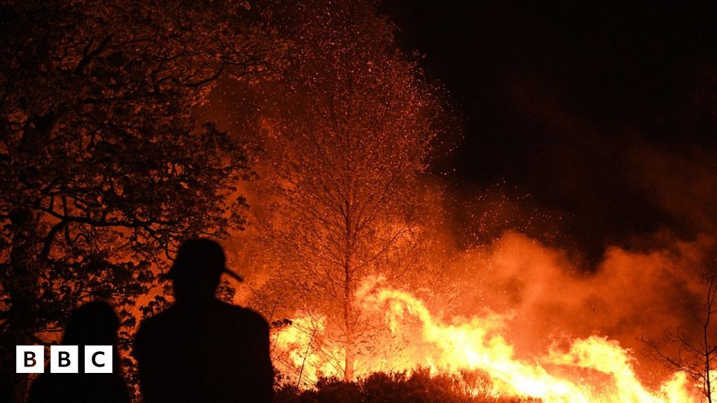 UK moor fires: How do moor fires start? - BBC Newsround