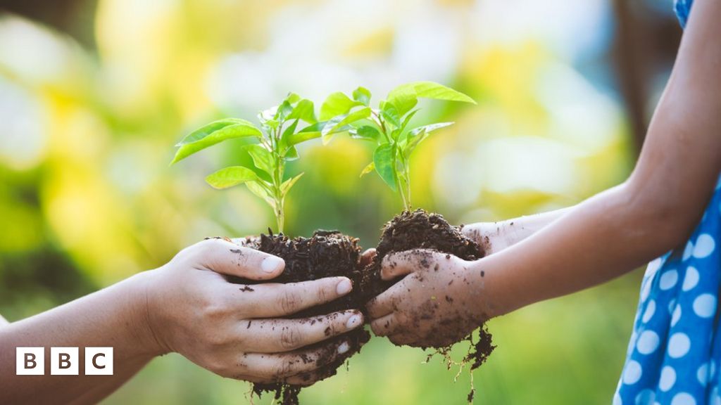 Nanobionics: Spinach that can send emails and plants that detect poison ...