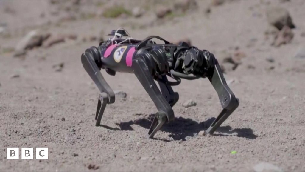 Nasa prepares robot dog for exploring the Moon - BBC Newsround