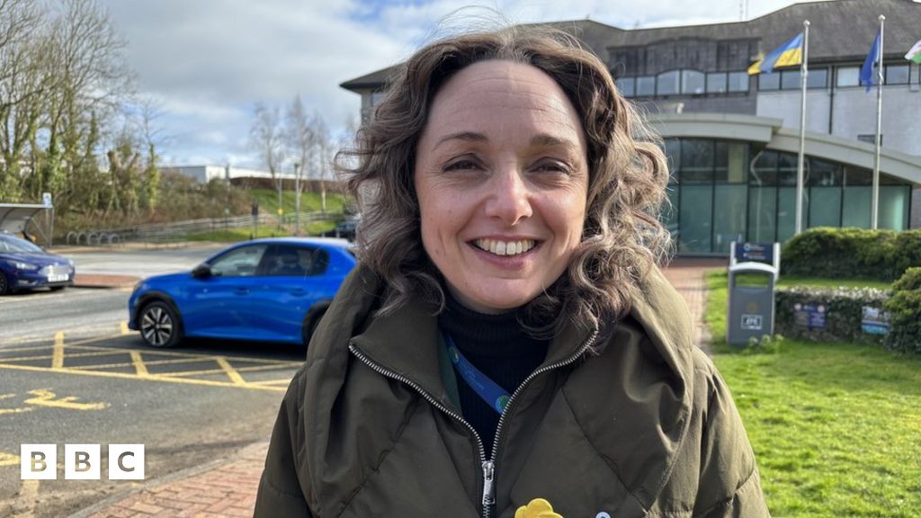 Plaid Cymru: Angen newid rheolau yn ymwneud â rhoddion - BBC Cymru Fyw