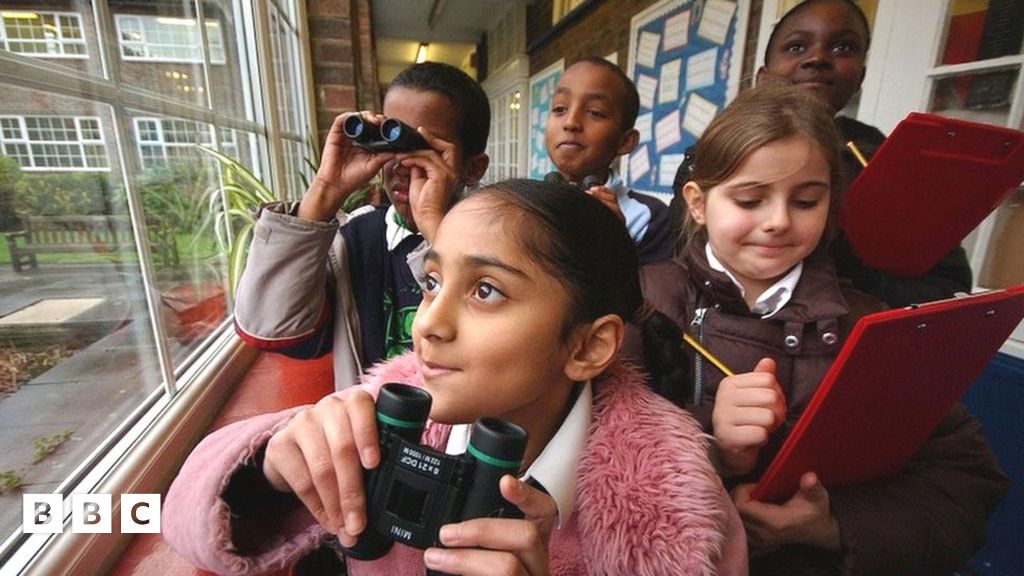 RSPB Big Schools' Birdwatch: Everything you need to know - BBC Newsround