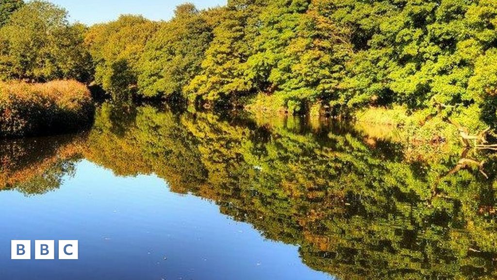 Water safety: How to stay safe in and around water - BBC Newsround