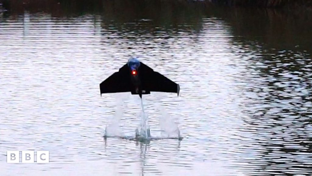 The 'flying fish' robot that could help out in floods - BBC Newsround