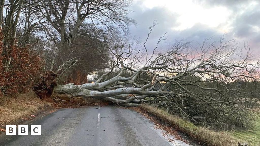 Storm Otto: First named storm of 2023 arrives in the UK - BBC Newsround