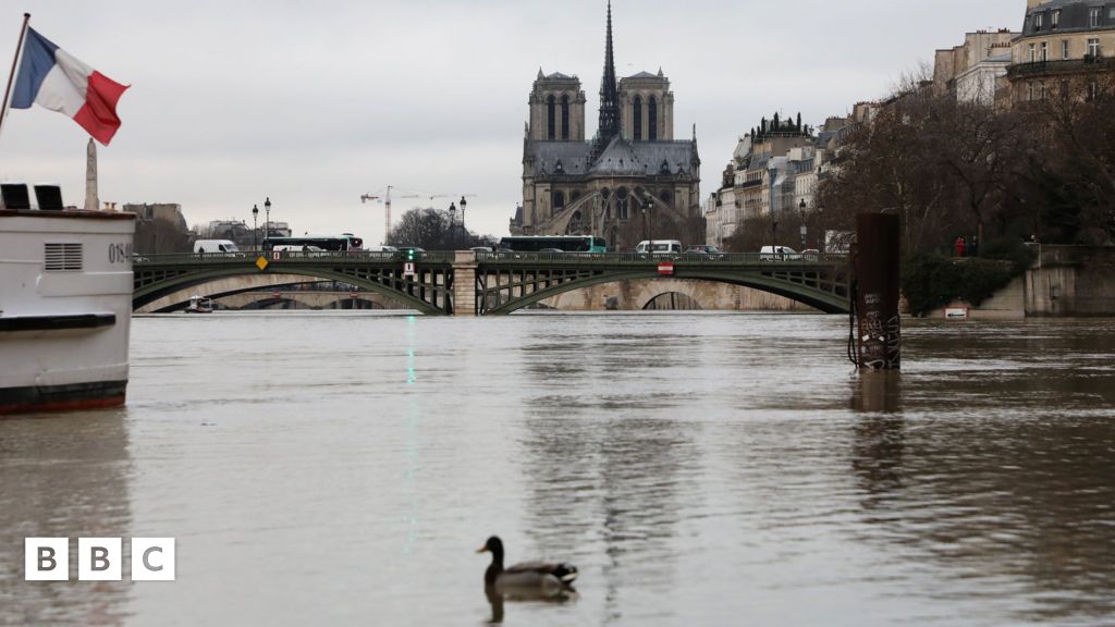 In pictures: Paris flooding - BBC Newsround