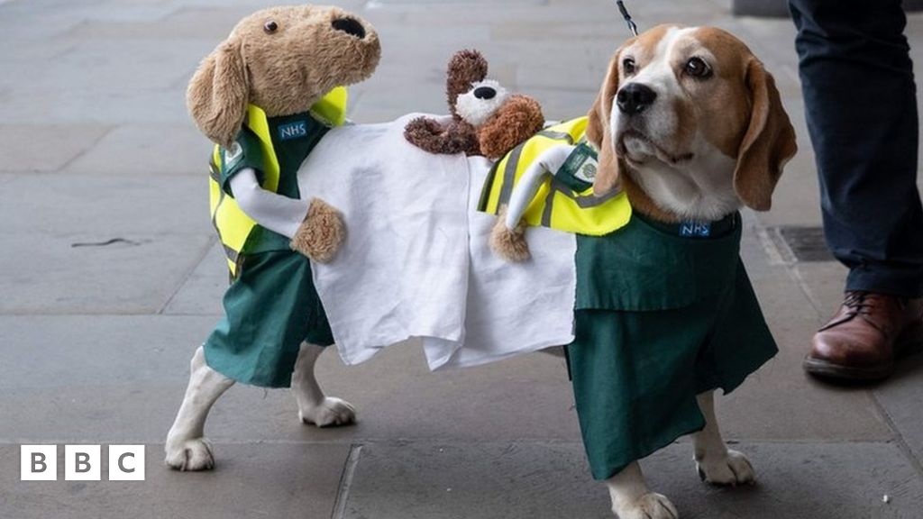 Clap For Our Carers: Pictures from this week's celebration of the NHS ...