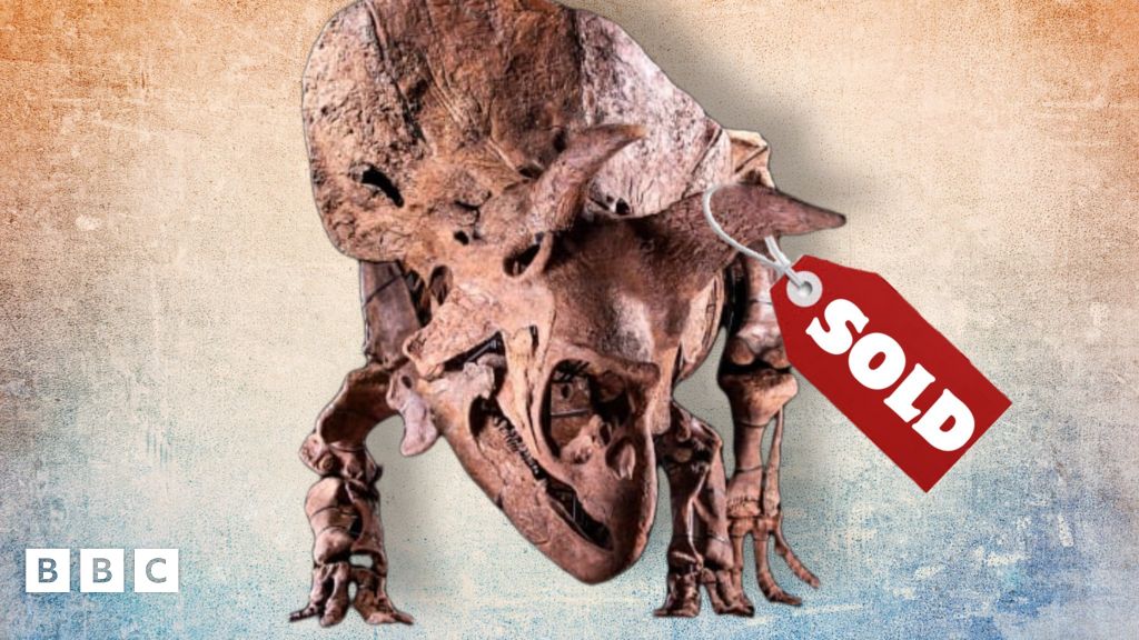 Big John: The world's largest triceratops skeleton sells for €6.65m ...