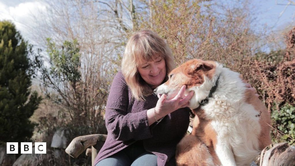 Lle i enaid gael llonydd: Bethan Gwanas - BBC Cymru Fyw