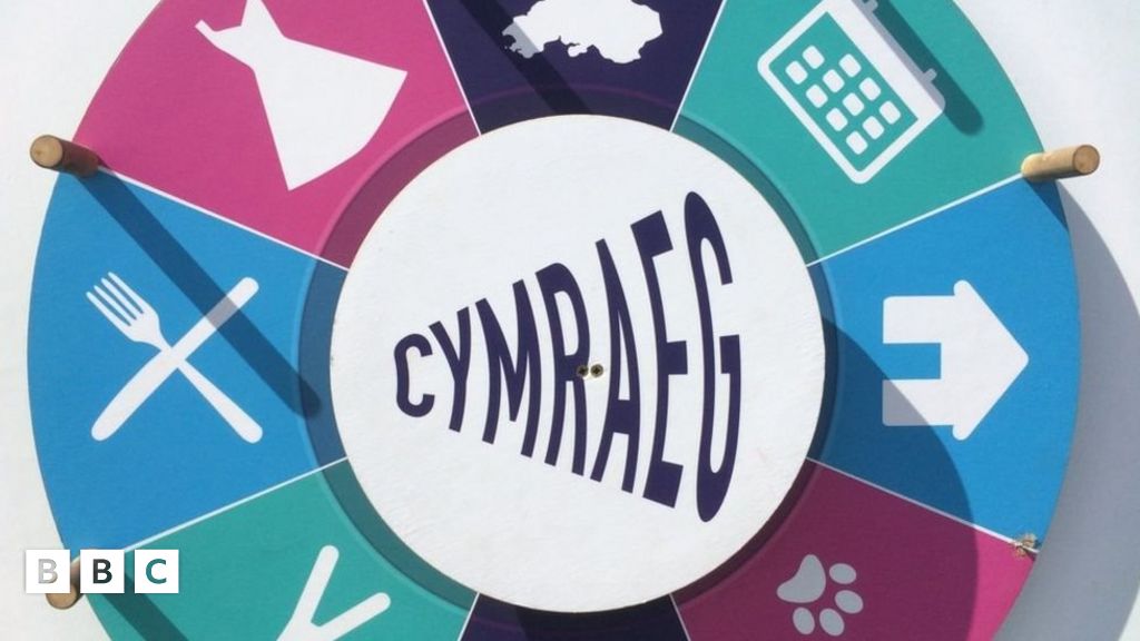 Comisiynydd: 'Angen cynyddu defnydd dyddiol o'r Gymraeg' - BBC Cymru Fyw
