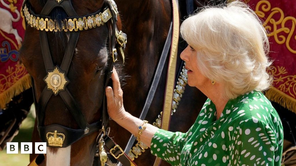 Queen Camilla names lead horse for King's Birthday Parade - BBC Newsround