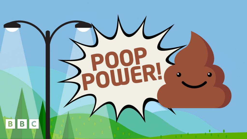 Could poo-power light your street? - BBC Newsround