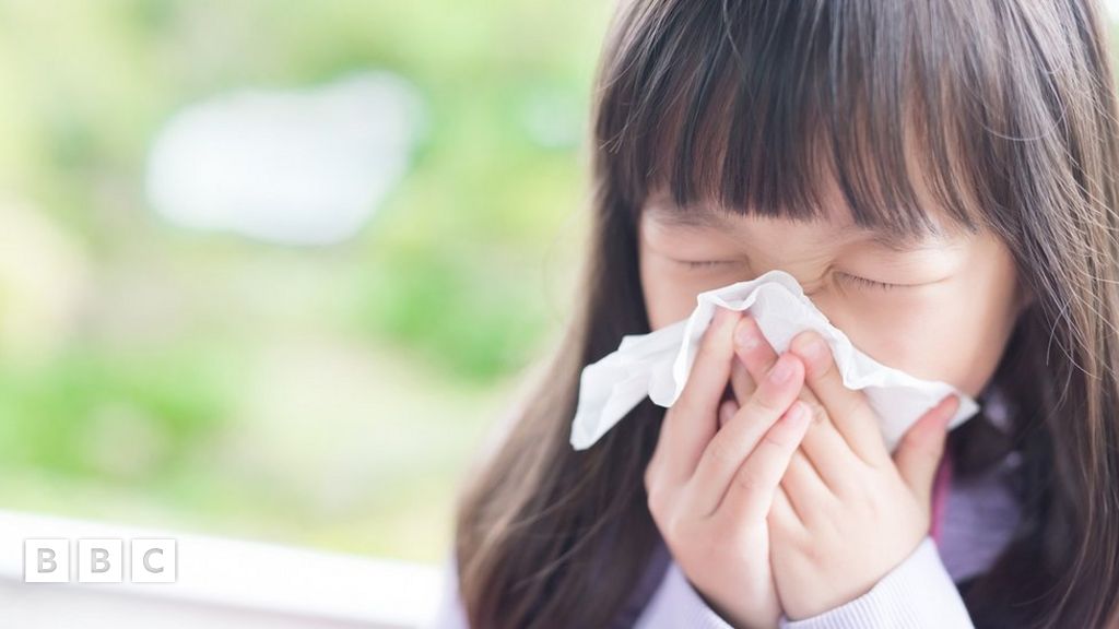High pollen levels are expected this weekend - BBC Newsround