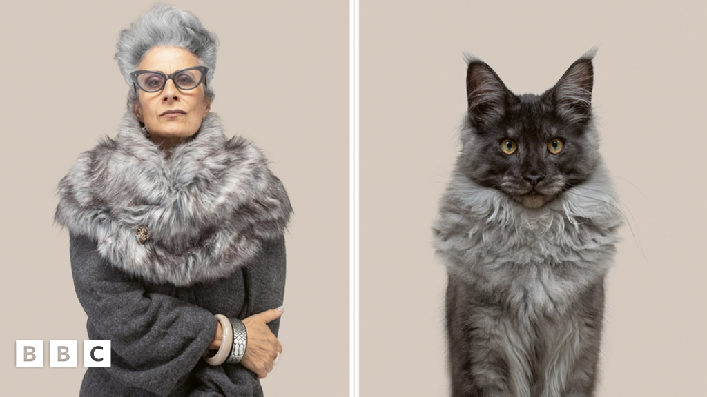 Meet the cats with human lookalikes! - BBC Newsround