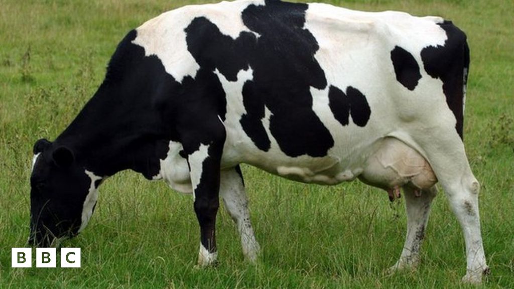 BSE an Alba - Naidheachdan a' BhBC