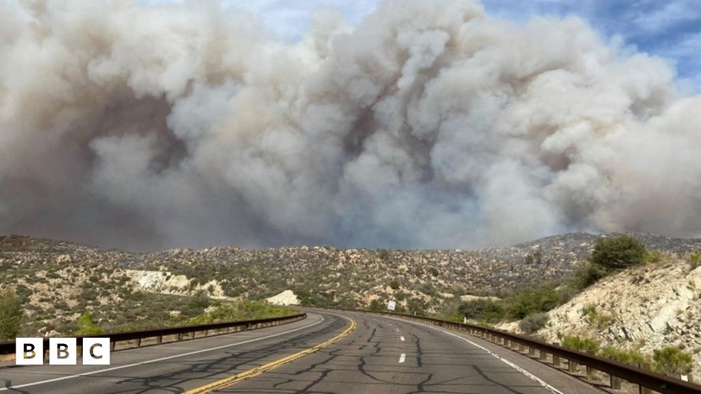 Wildfires: What's happening in the US? - BBC Newsround