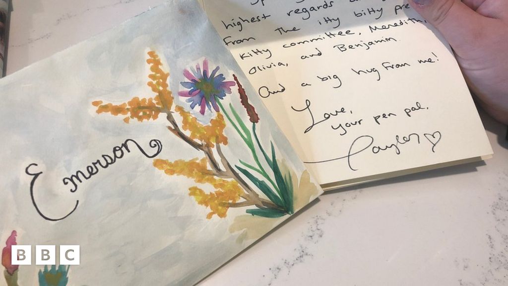 Taylor Swift sends special message to letter-writing fan - BBC Newsround