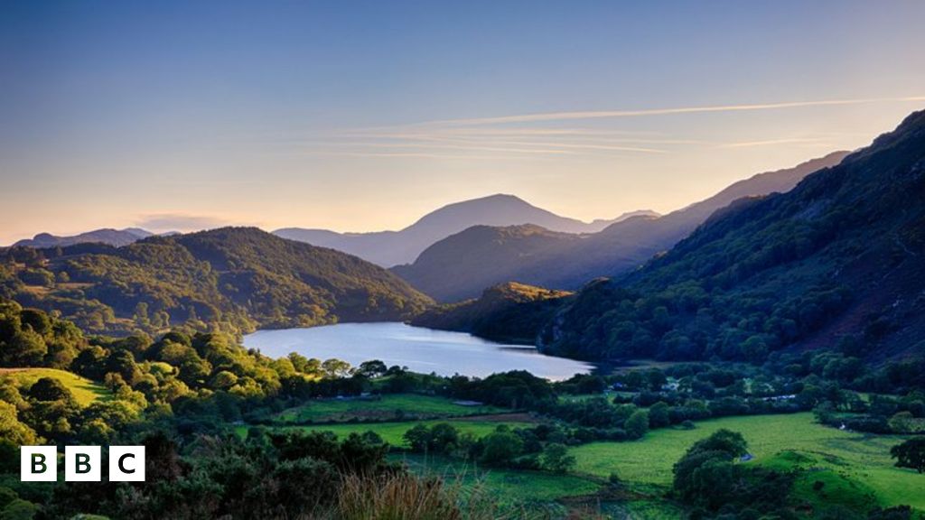 Celtic Rainforests: National Trust creates new plan to protect Welsh ...