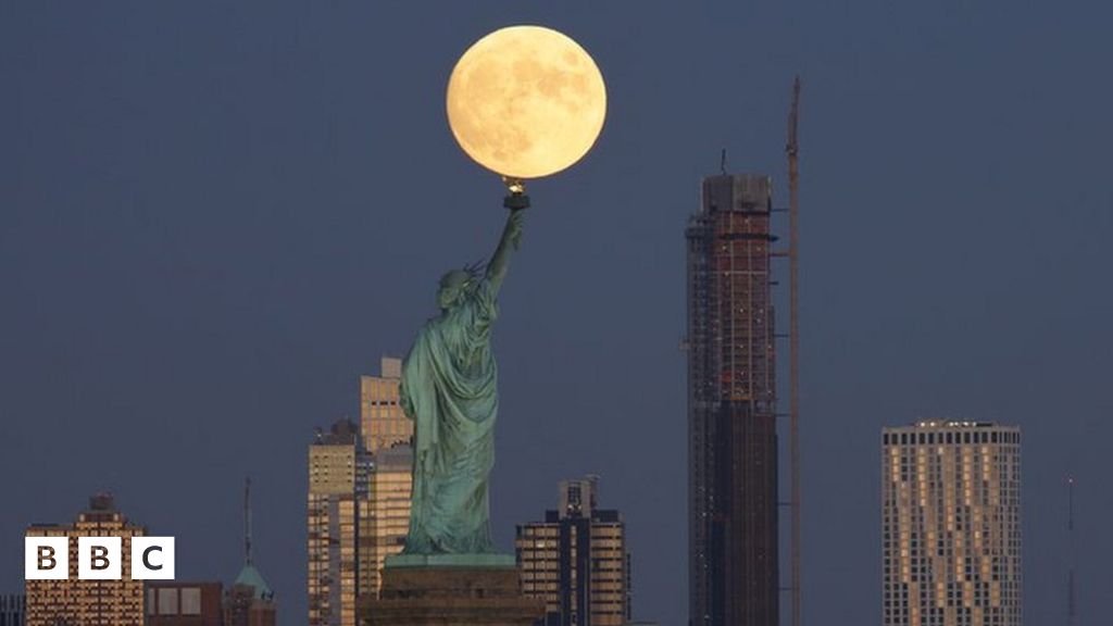 Hunter's Moon: Amazing pictures - BBC Newsround