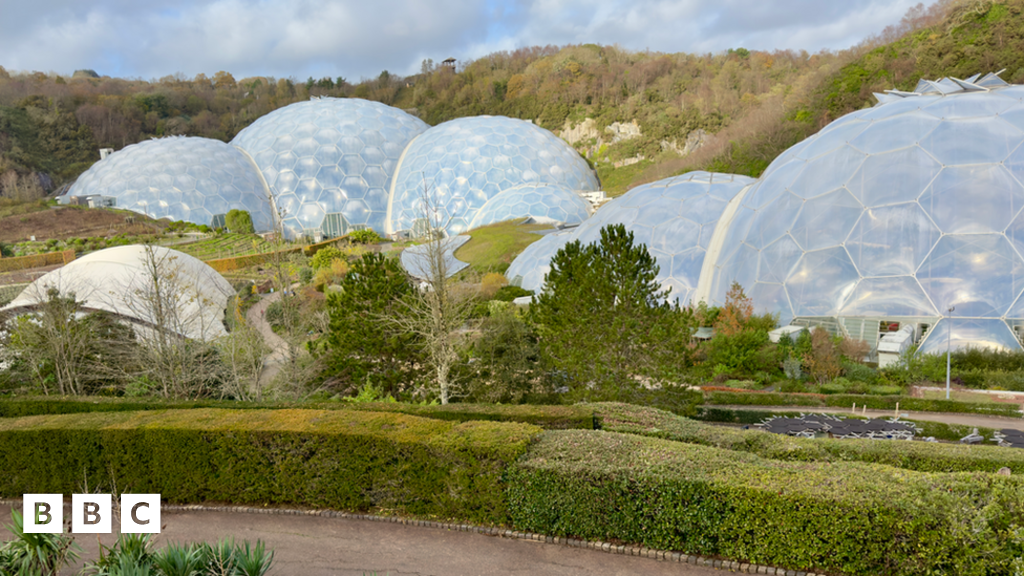 Eden Project: The lessons taught from a rainforest - BBC Newsround
