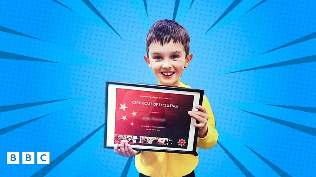 Eight-year-old boy described as a hero - BBC Newsround