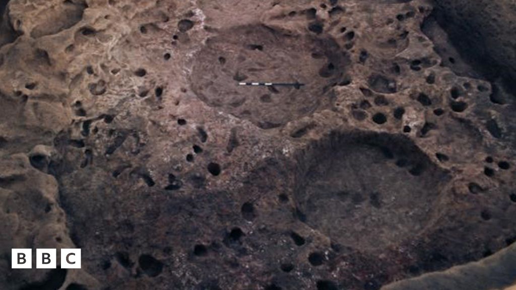 Pre-historic poo from sheep discovered by scientists - BBC Newsround