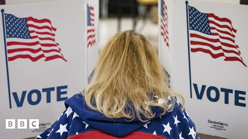US election 2020 dictionary - BBC Newsround