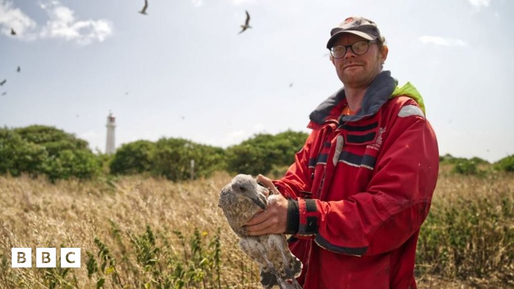 Hanes y dyn sy'n byw ar ynys ar ei ben ei hun - BBC Cymru Fyw