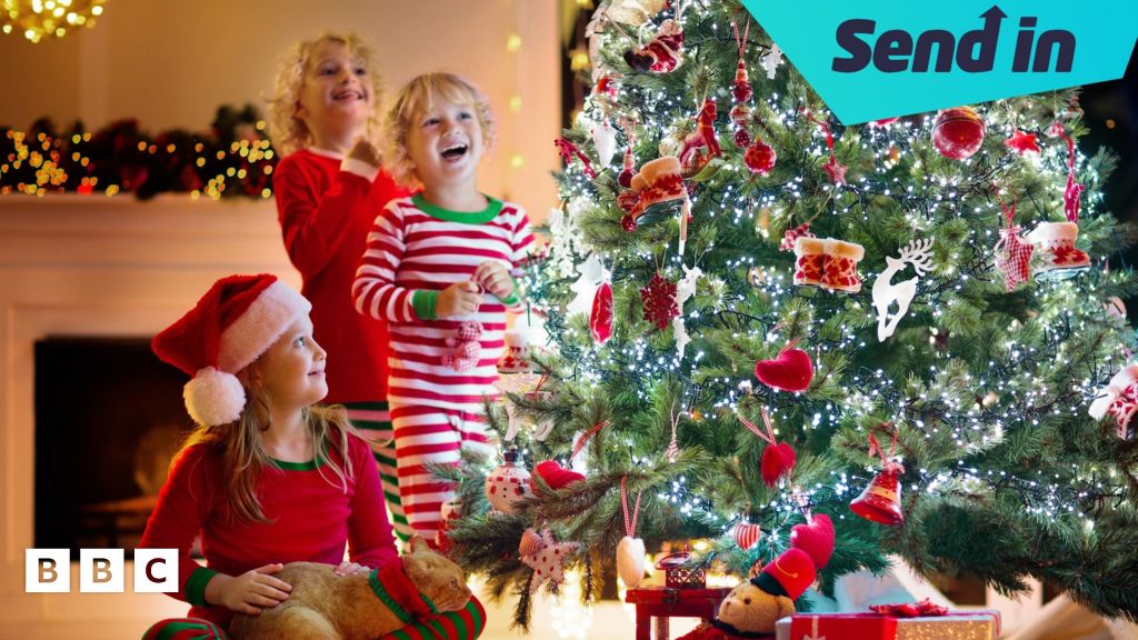 Christmas: Have you got your Christmas tree up yet? - BBC Newsround